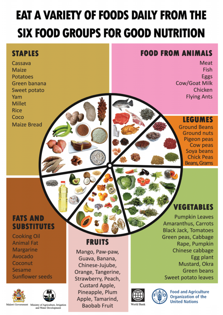 Permaculture Guilds - Never Ending Food