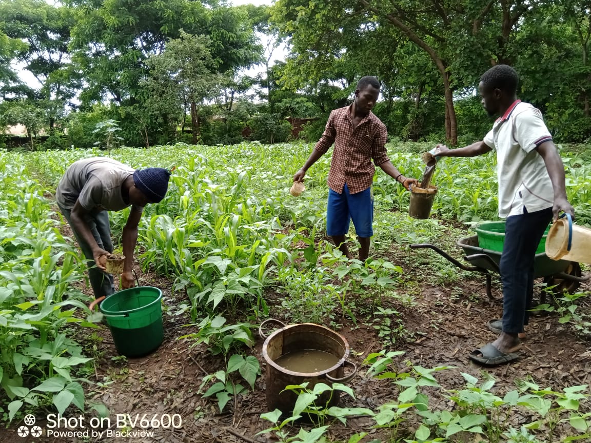 Liquid Manure - Never Ending Food