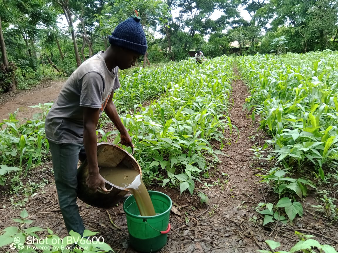 Liquid Manure - Never Ending Food