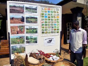 Teaching with Resource Displays - Never Ending Food