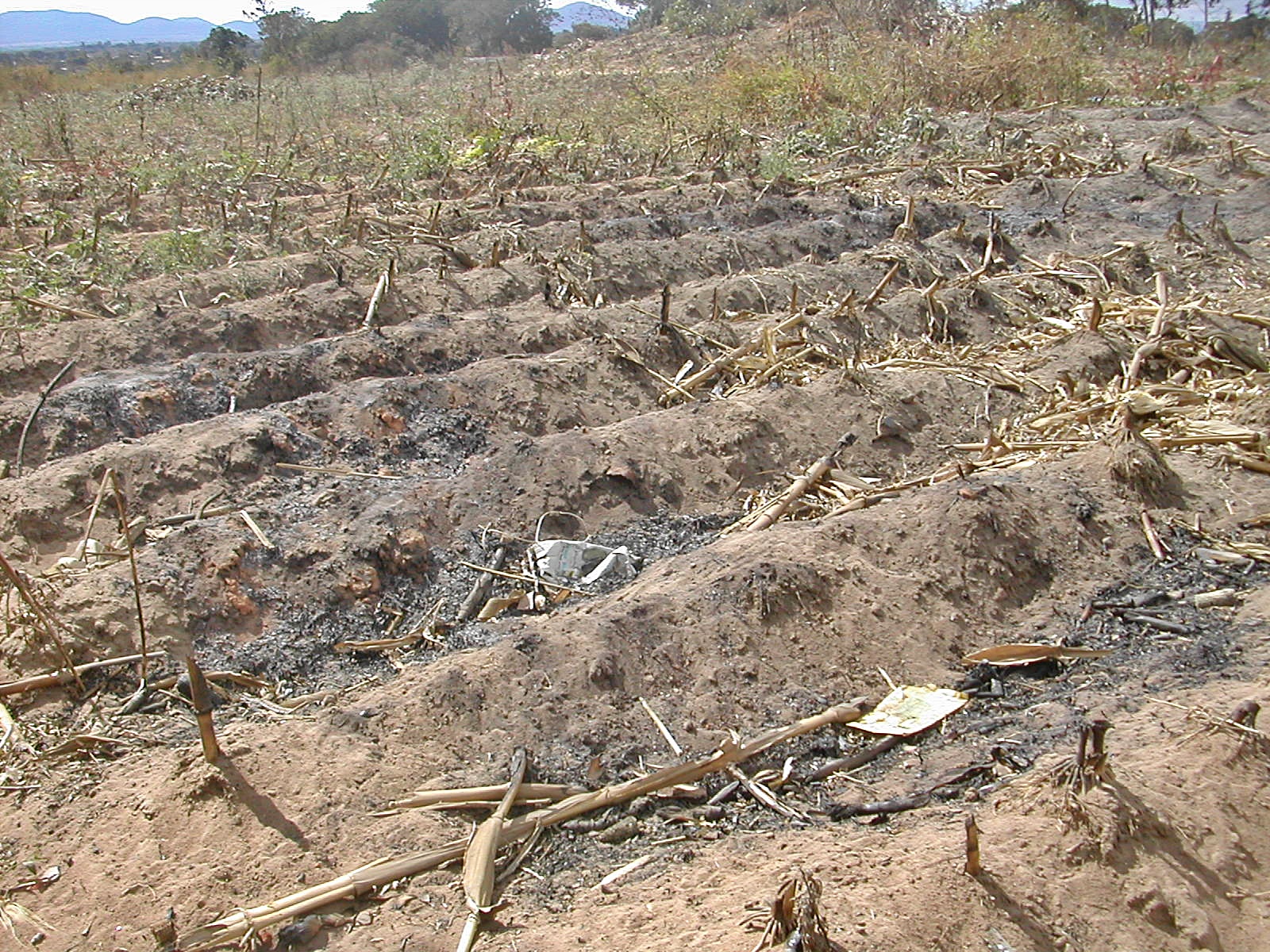 Protecting the Soil - Never Ending Food